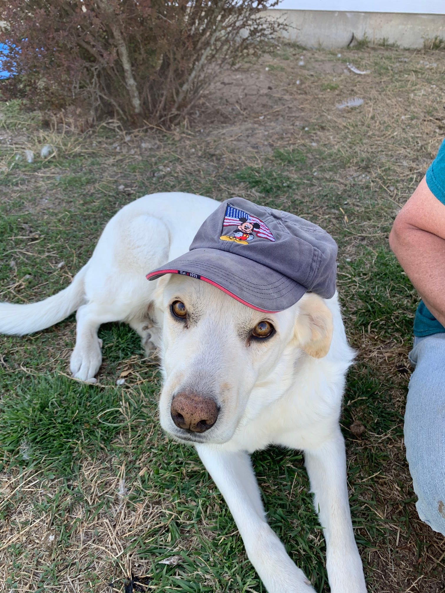 Know Your Farmer | Bramble's Edge Farm