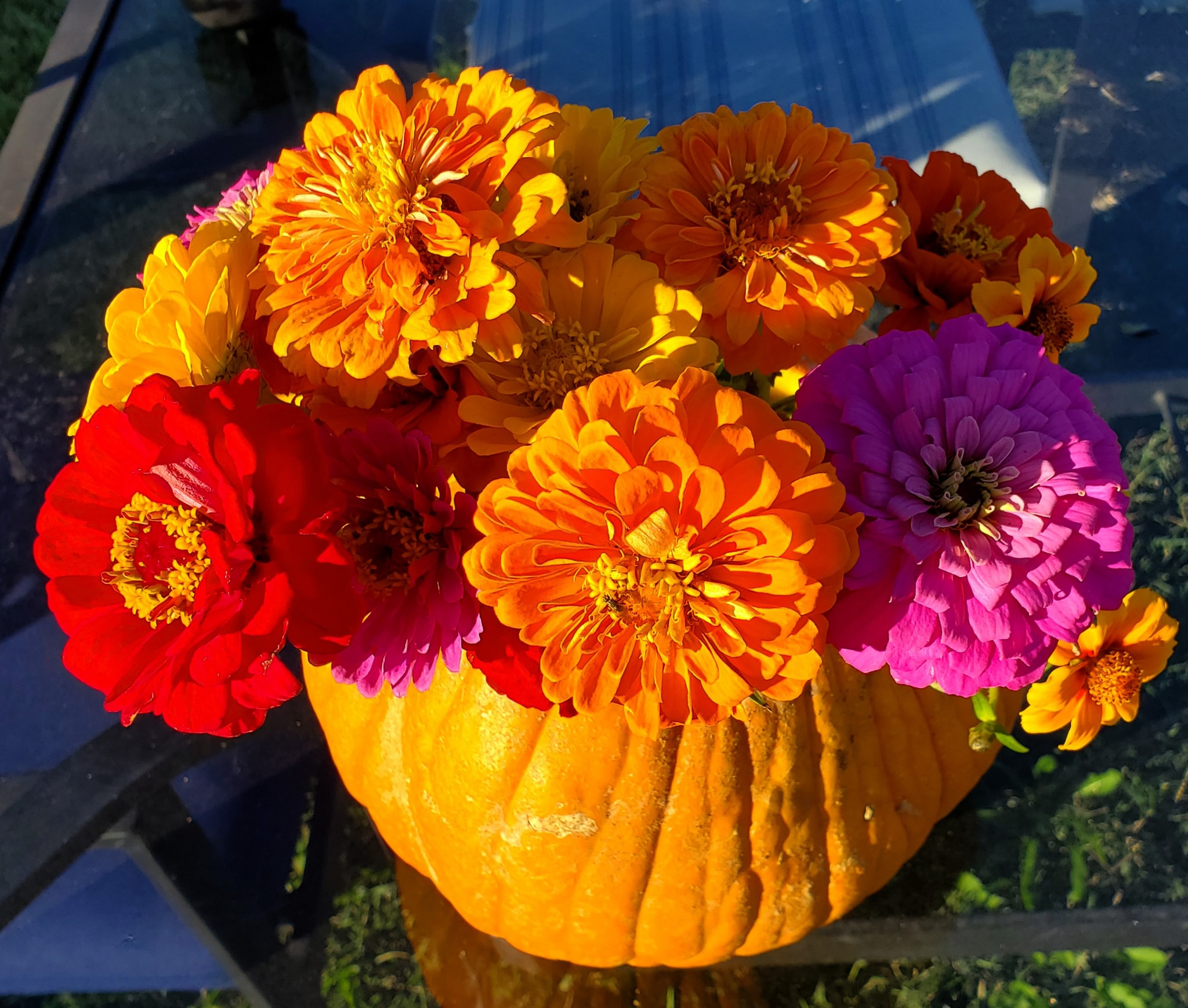 You Pick Options | Bramble's Edge Farm